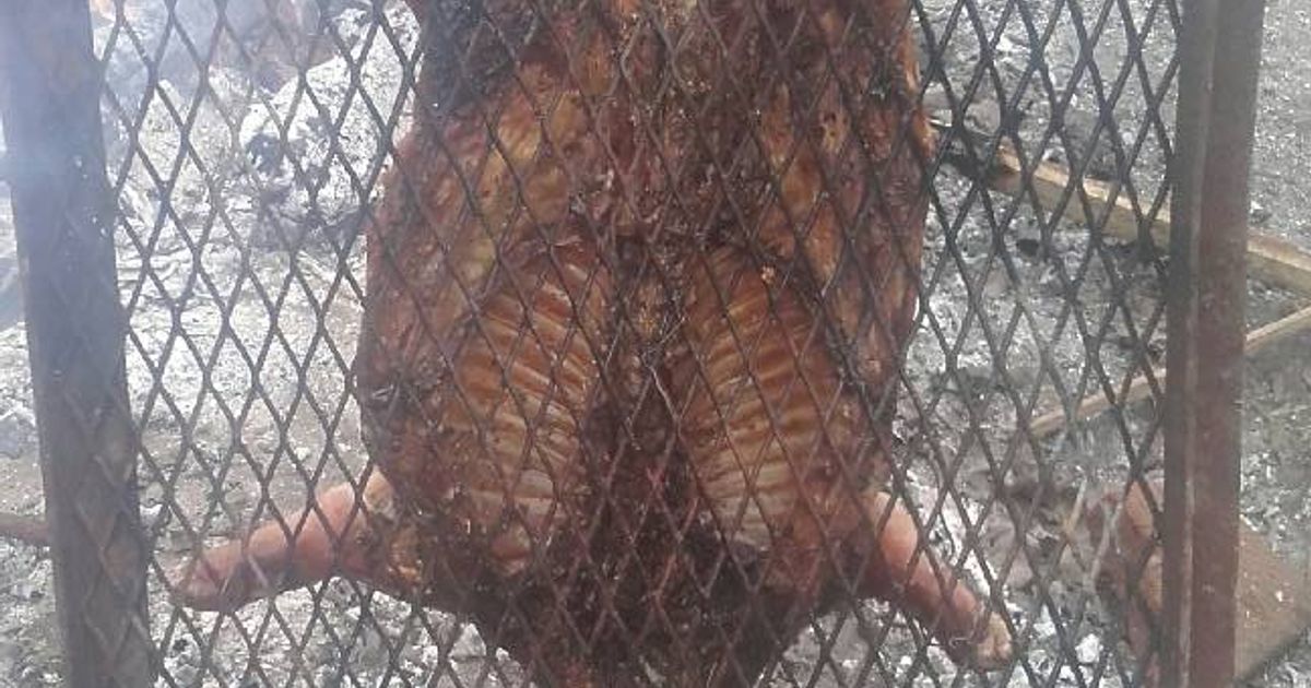 Lechon A La Parrilla Receta de Soledad medina