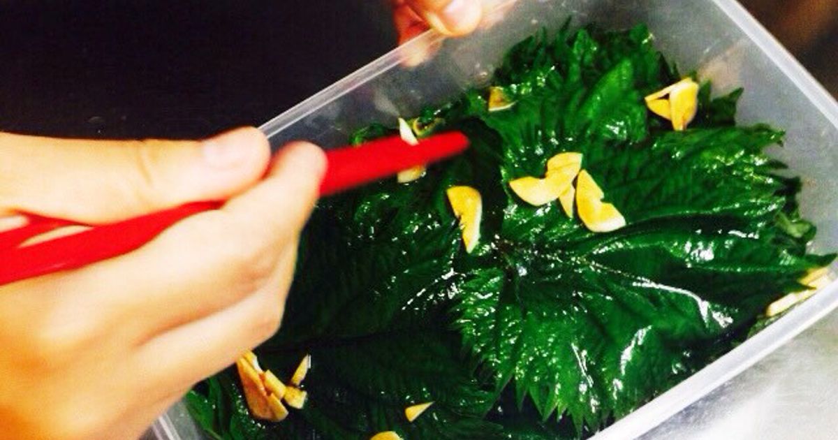 Edible Herb 'Shiso' Shiso Soy Sauce Marinade Recipe by 秋姉さん