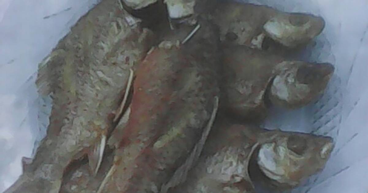 4 resep salap enak dan mudah - Cookpad