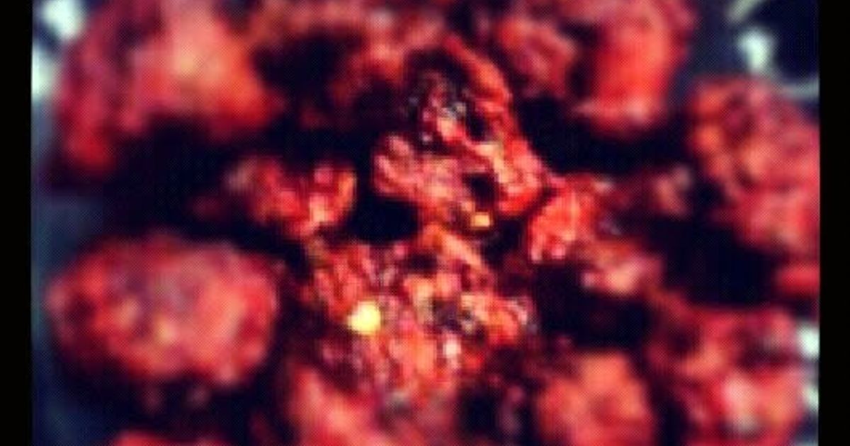Spicy Fried Ginger Chicken Recipe by coffeebeanz