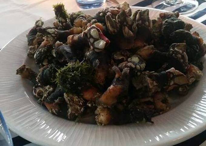 Percebes cocidos Receta de Oscar Oscar- Cookpad