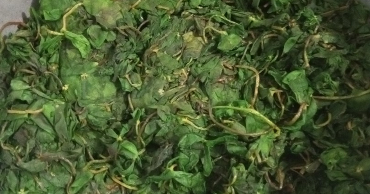 Resep Tips Memasak Daun Semanggi oleh Rina Dwi - Cookpad
