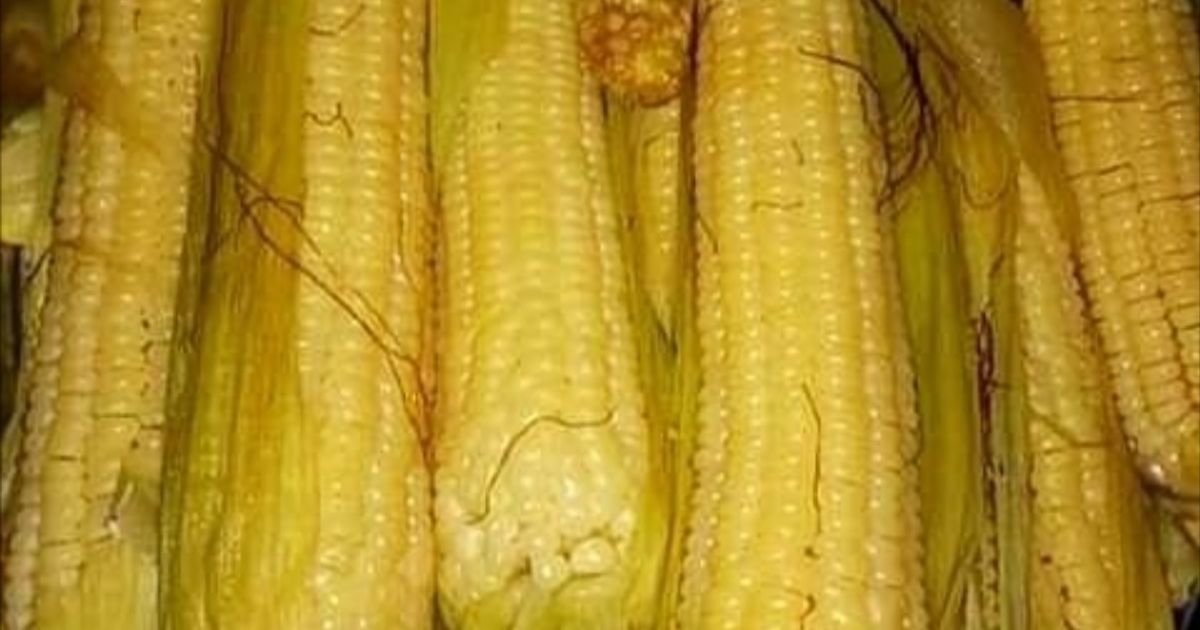 Soft Maize Boiled #4weekschallenge#Authormarathon# Recipe by Val ...