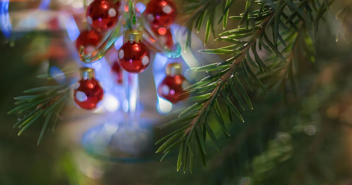 carne cena nochevieja - recetas caseras- Cookpad