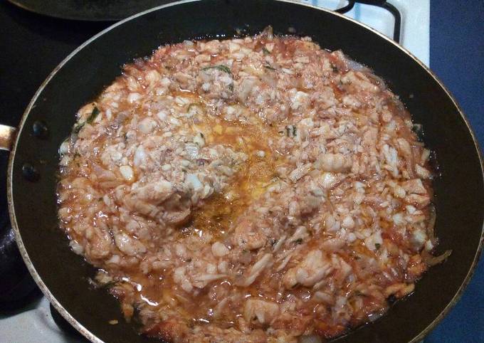 Cómo Obtiene Su Comida Un Tiburón Cazón