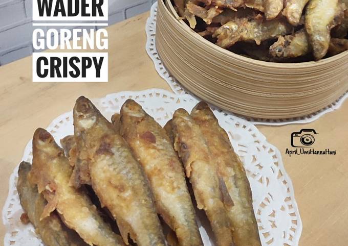 Resep Ikan Wader Goreng Crispy oleh April_Umi HannaHani - Cookpad