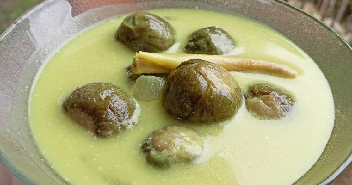 Resep Lodeh terung bulat oleh Isnaini Novitasari - Cookpad