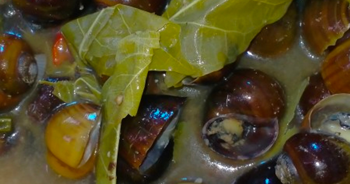 Resep Keong Daun Singkil Simpel oleh bayun koriyanti - Cookpad