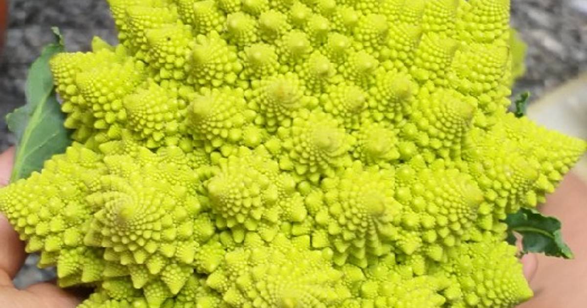 Romanescu - 52 recetas caseras - Cookpad