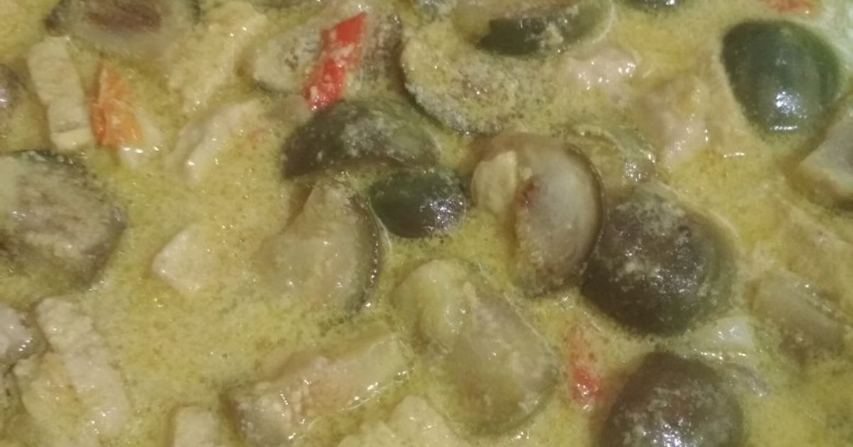 Resep Santan Terong Tempe oleh Mamak Zhia - Cookpad