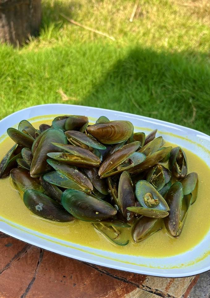 Resep Kerang Hijau Masak Gulai Santan oleh Meydiana Dyah Pramesty - Cookpad