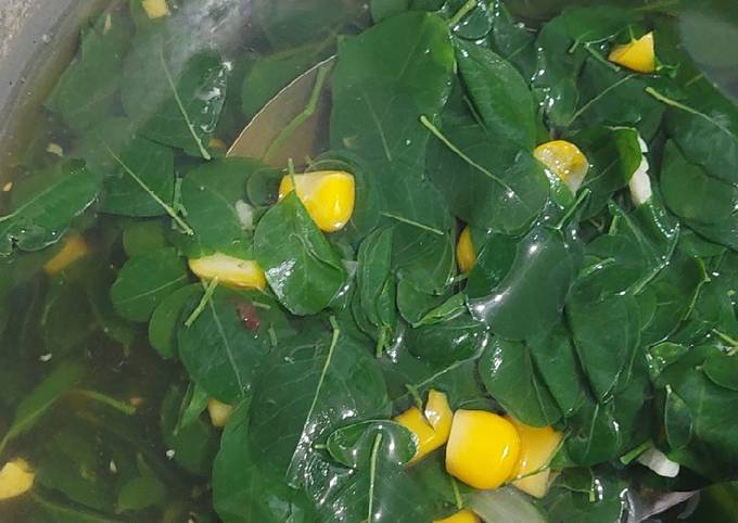 Resep Sayur kelor oleh Windy Okta - Cookpad