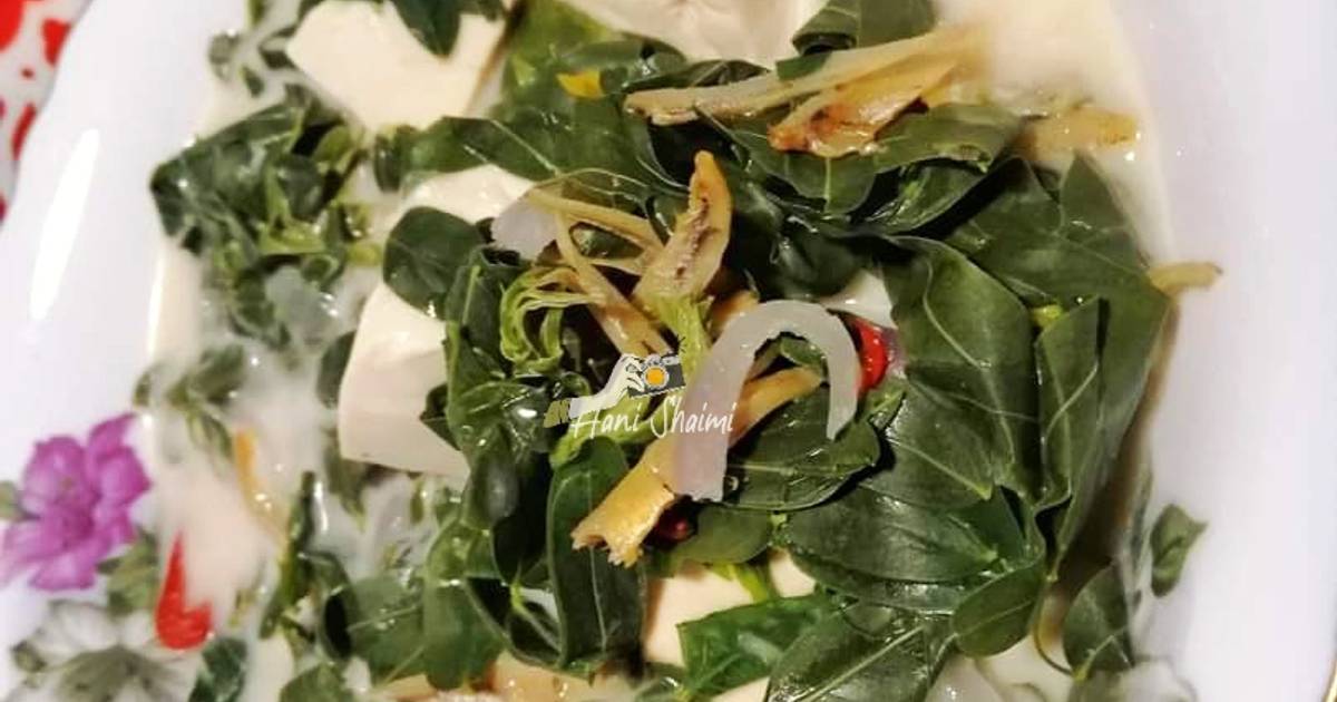 Resipi (9/12) Masak lemak Pucuk Turi bersama tauhu oleh Hani Shaimi ...