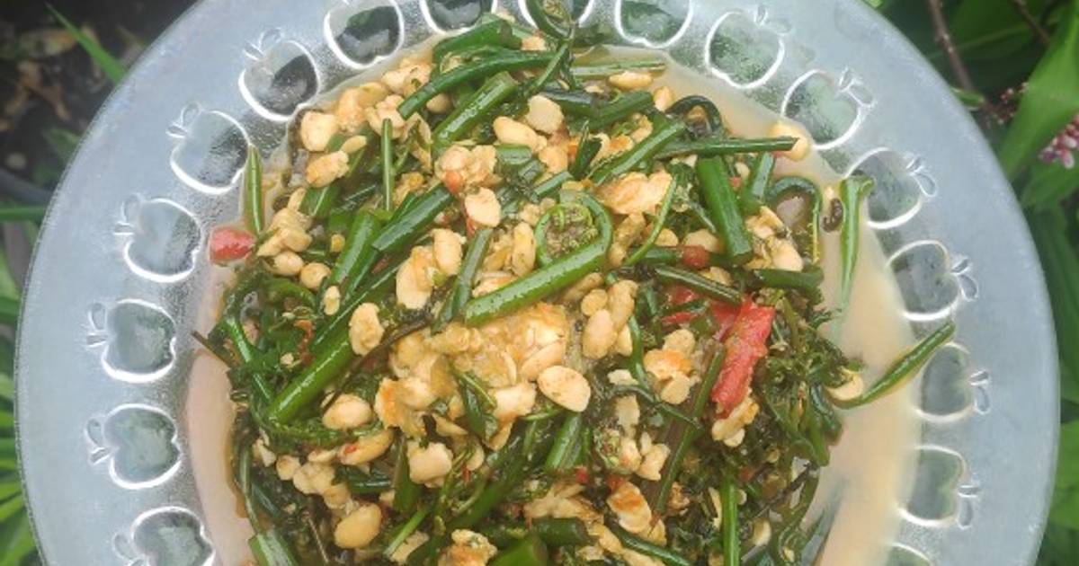 Resep Tumis Pakis Pedas oleh Rohma - Cookpad