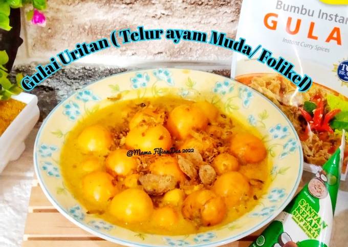 Resep Gulai Uritan Telur Ayam Muda (Folicel) oleh Lanjarsih/Mama Fifian ...