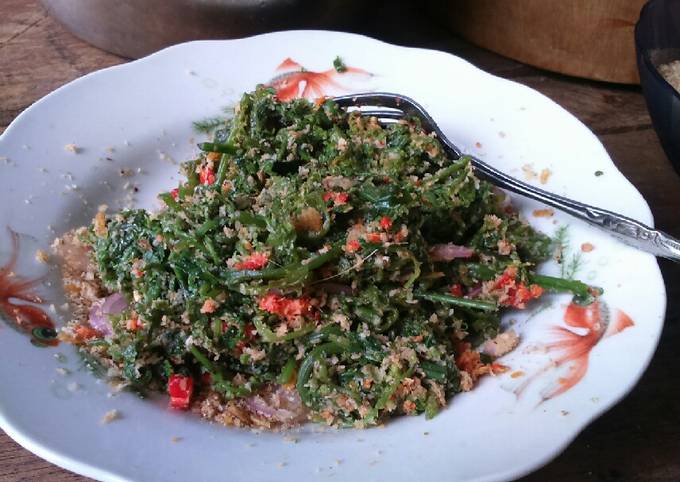 Resep Anyang Pakis (Mandailing Style) oleh mwddhnzq - Cookpad