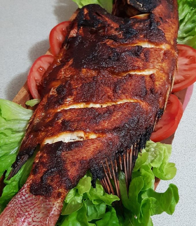 Grilled Red Snapper Fillet