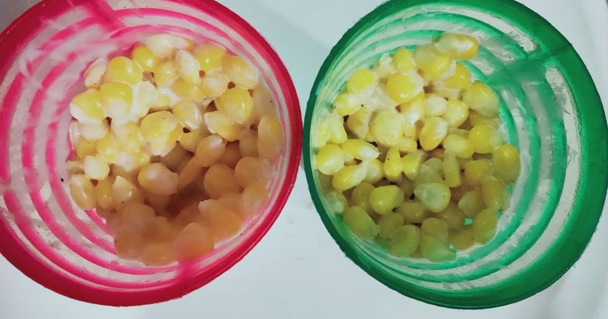 Cream Sweet Corn Recipe by Sukhija Dk - Cookpad