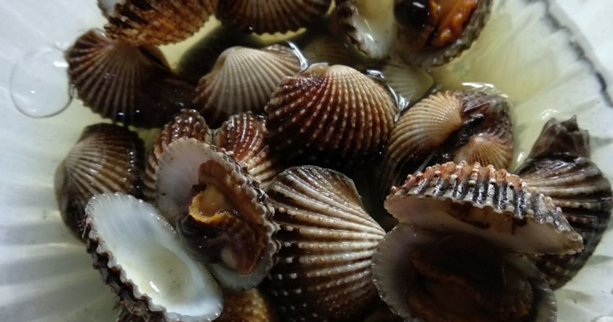 Resep Kerang Dara Masak Kunci oleh Indah Andriani Bimandria - Cookpad