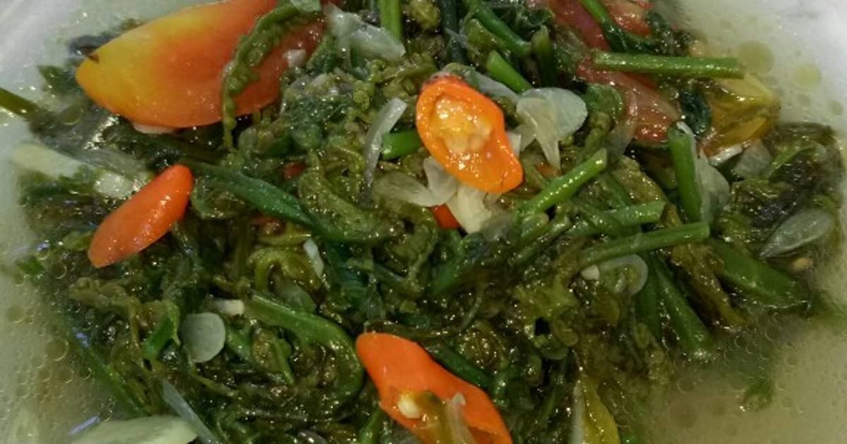 14 resep 4 cah sayuran pakis enak dan mudah - Cookpad