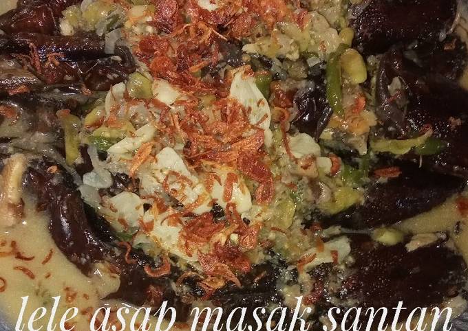 Resep Lele Asap Masak Santan oleh dina - Cookpad