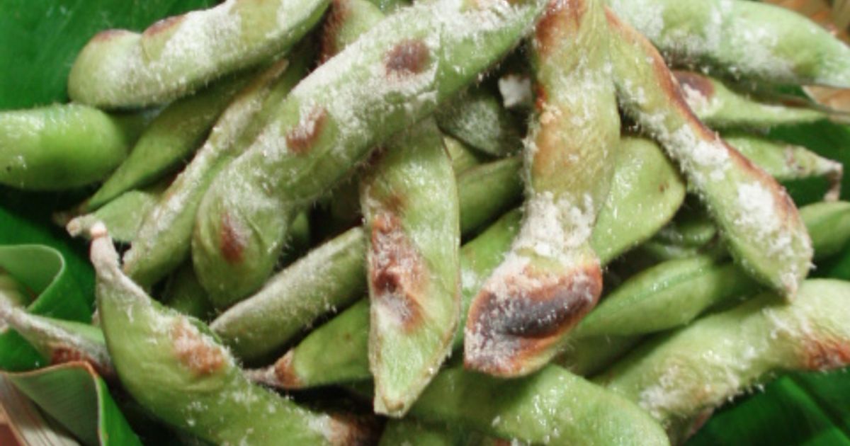 Grilled Edamame Recipe By レンバス