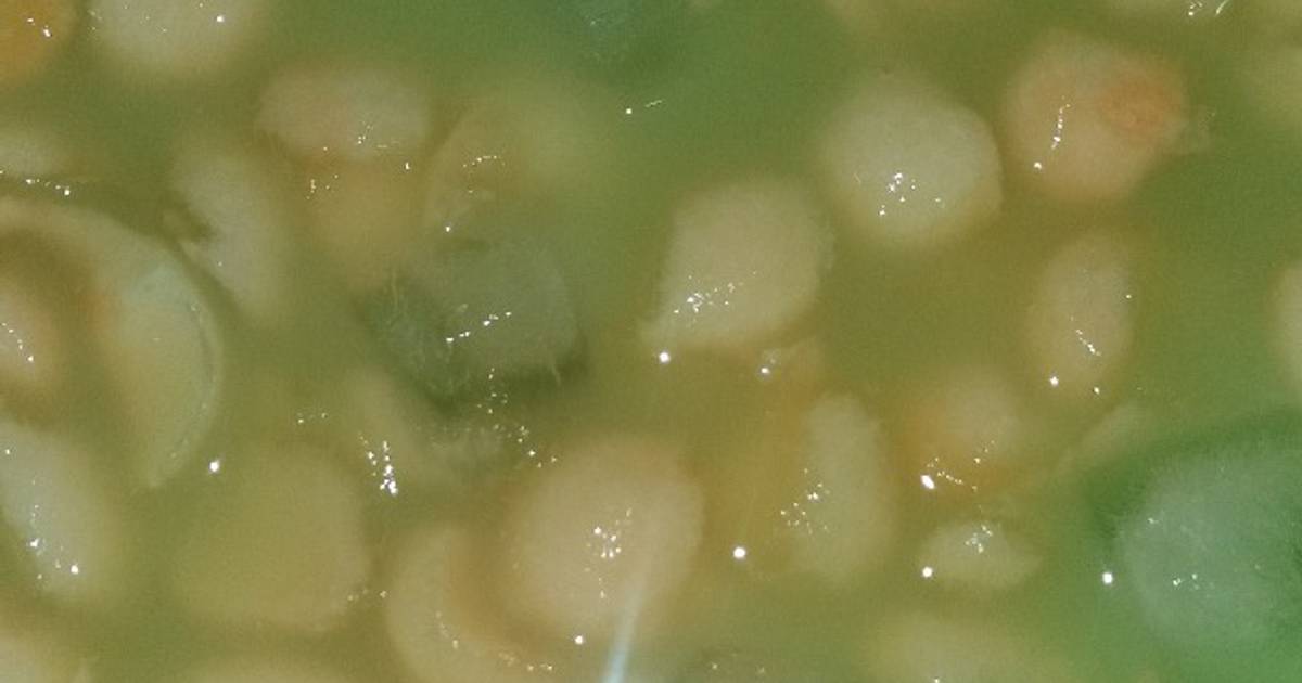 101 resep es blewah sirup melon enak dan mudah - Cookpad