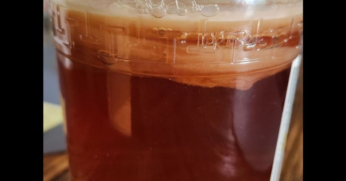 Kombucha Scoby Recipe By Elisa