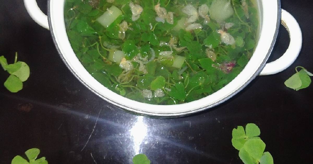 27 resep sayuran semanggi enak dan mudah - Cookpad