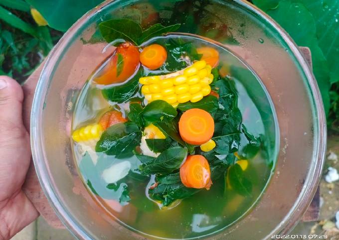 Resep Sayur Katuk Bening oleh Aang Hudaya - Cookpad