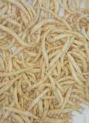 6 resep curut enak dan mudah - Cookpad