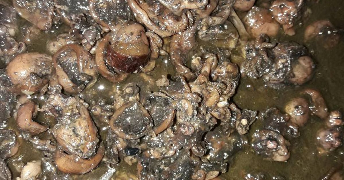 Resep Blekutak/Cumi Kecap Mudah (Skalian Promosi Jual Seafood Fresh ...