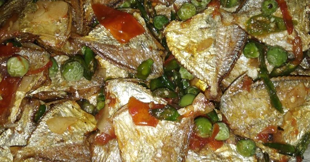 787 resep cepokak hijau enak dan mudah - Cookpad