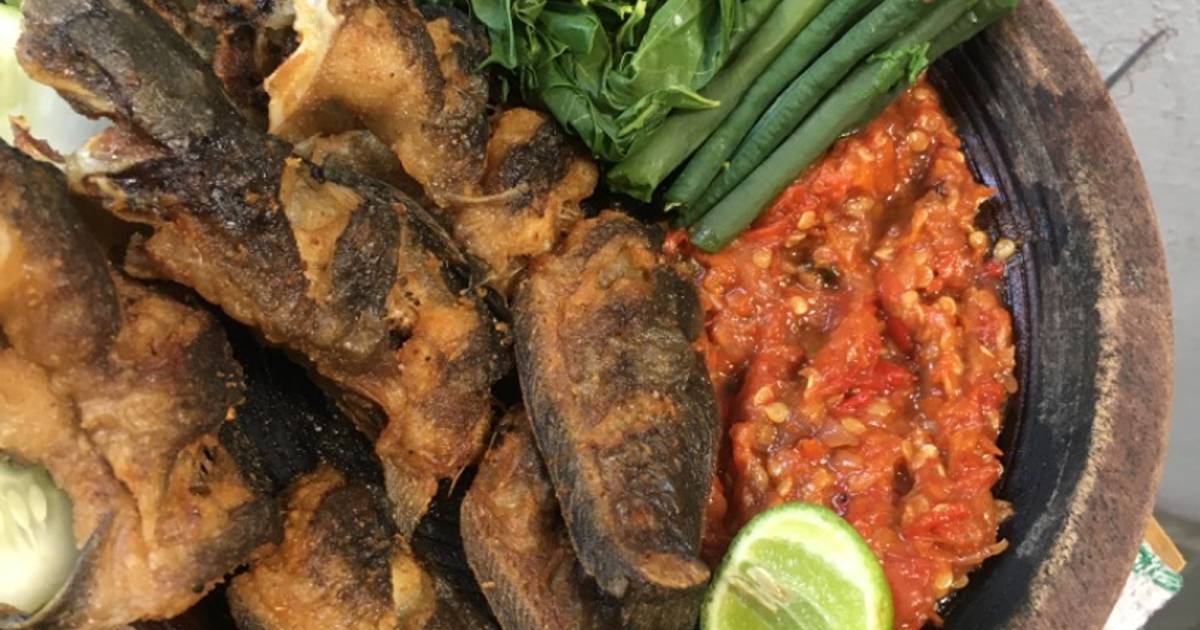 Resep Lele goreng bumbu marinasi oleh Dinda Prilia - Cookpad