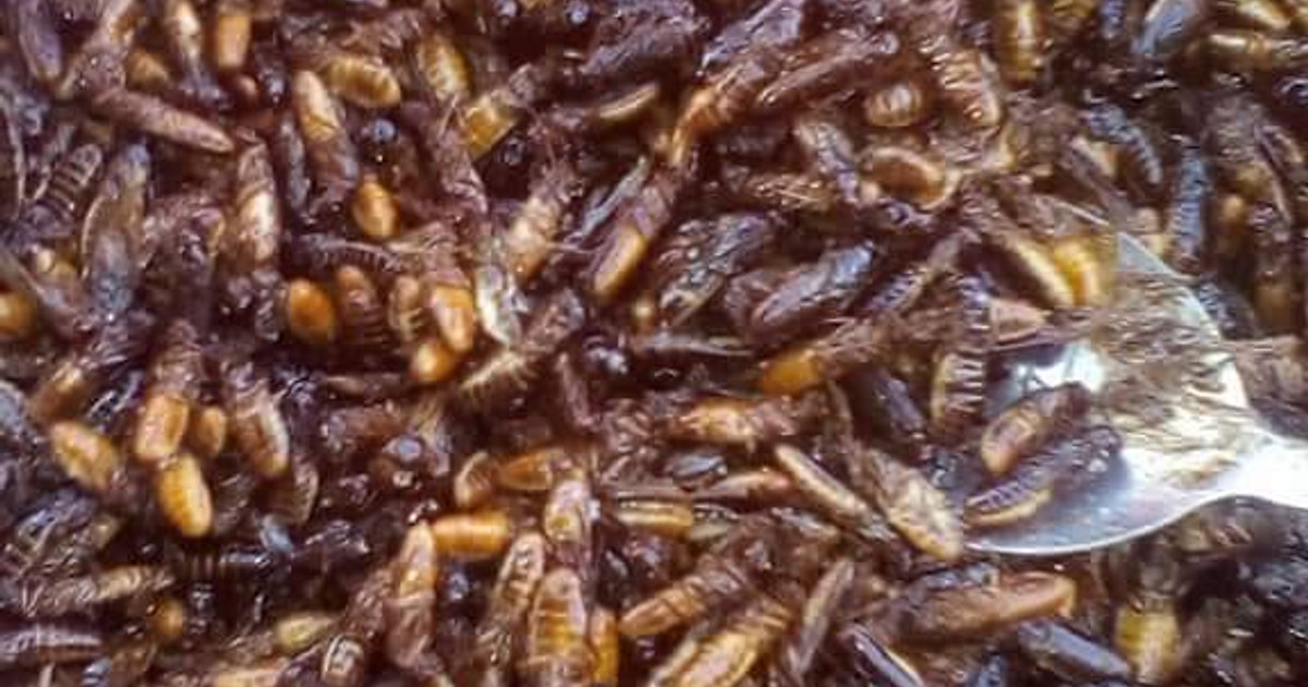 Termites/ Kumbekumbe Recipe by Rehema Aoko - Cookpad