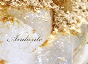 Irresistible Tapioca Flour Recipes To Try Today