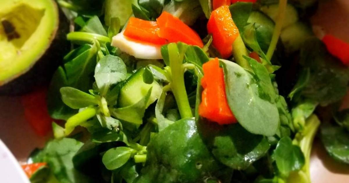 Verdolaga - 236 recetas caseras- Cookpad