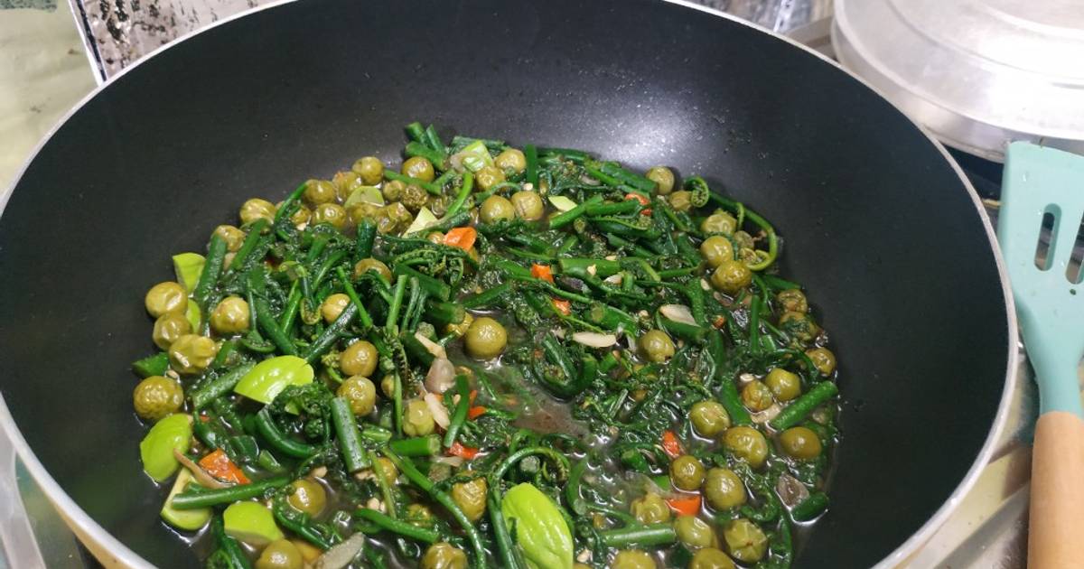 28 resep pakis rimbang enak dan mudah - Cookpad