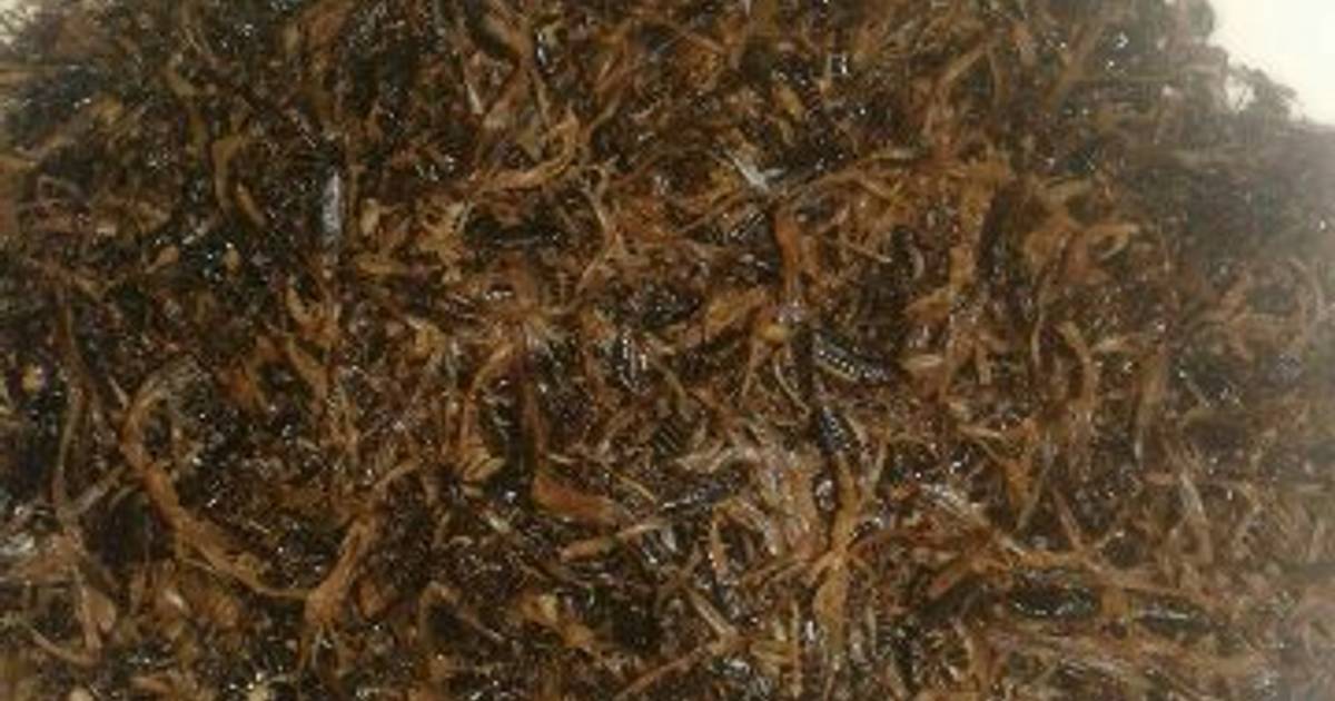 Roasted Termites Recipe by Alex Otieno - Cookpad