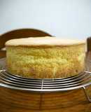 Irresistible sponge cake recipes: moist & fluffy delights