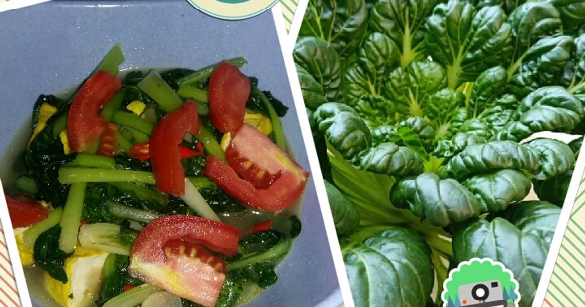 65 resep pagoda enak dan sederhana - Cookpad