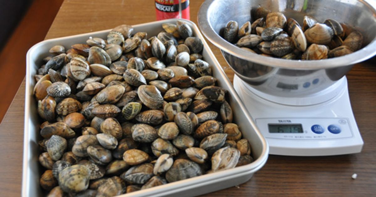 How To Preserve Manila Clams (Asari) In The Freezer Recipe By Cookpad.Japan