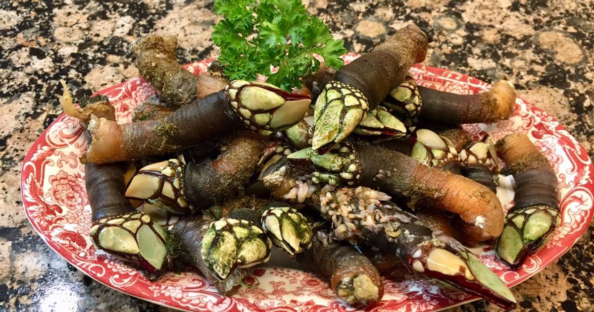 Percebes cocidos Receta de javilowin@gmail.com- Cookpad