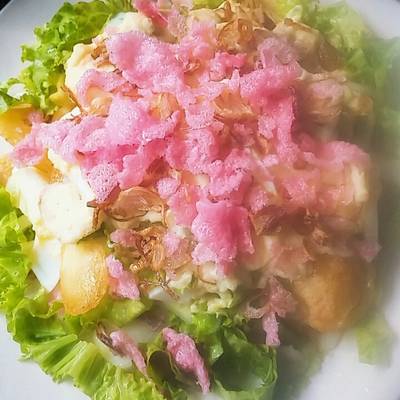 Resep Selada Padang oleh Rini Damayanti (Aqeesha's Kitchen) - Cookpad