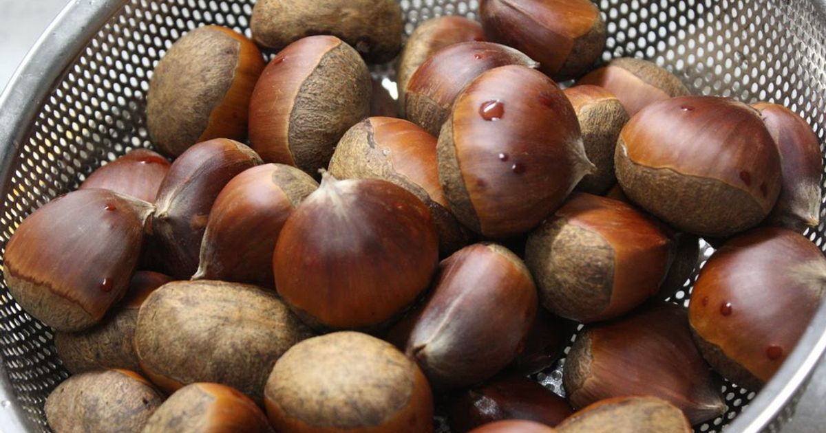 Boiled Chestnuts Using A Pressure Cooker Recipe By Cookpad.Japan