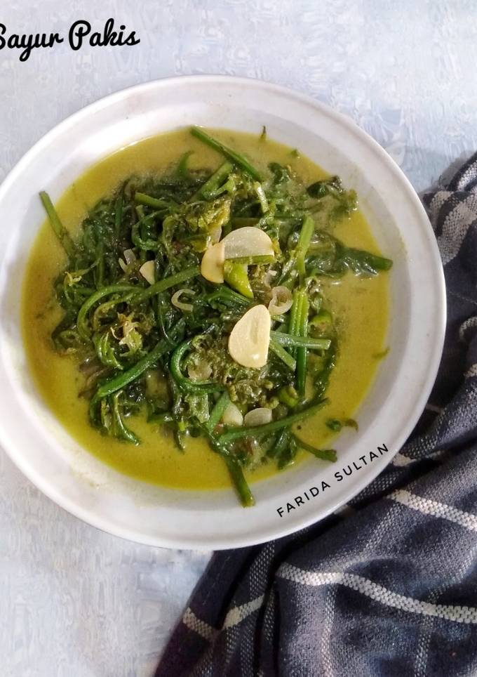 Resep Sayur Pakis oleh farida Sulthan 🇮🇩 (IG. Malika02782) - Cookpad