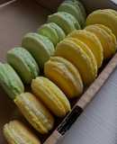Tökéletes macaron receptek otthonra: Kezdőknek és különleges töltelékekkel
