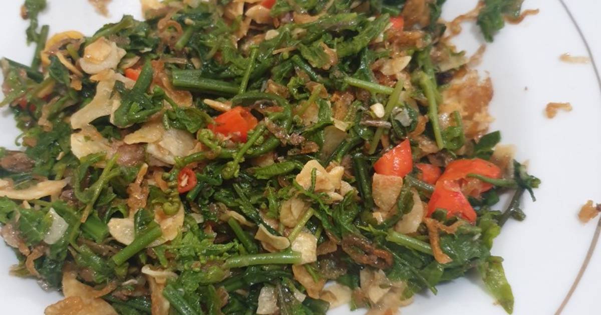 Resep Sayur pakis/ sayur paku oleh terissia - Cookpad