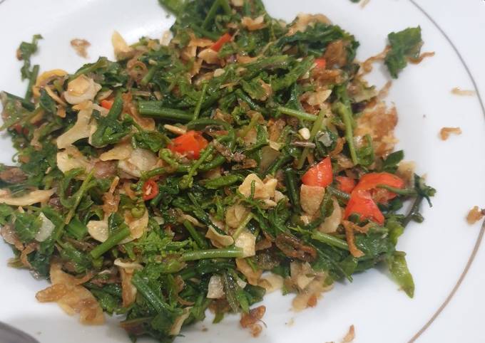 Resep Sayur pakis/ sayur paku oleh terissia - Cookpad