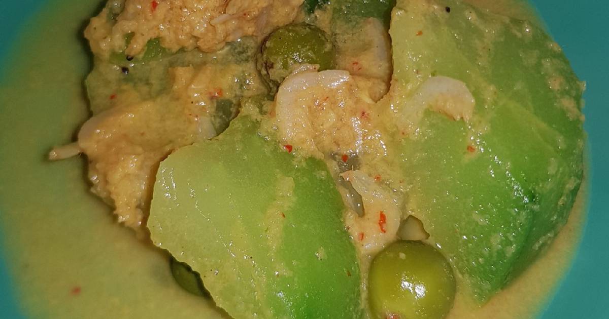 600 resep labu siam kuah ebi enak dan mudah - Cookpad